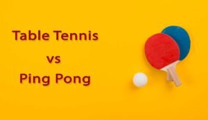 Difference Between Ping Pong and Table Tennis? | TT vs Ping Pong